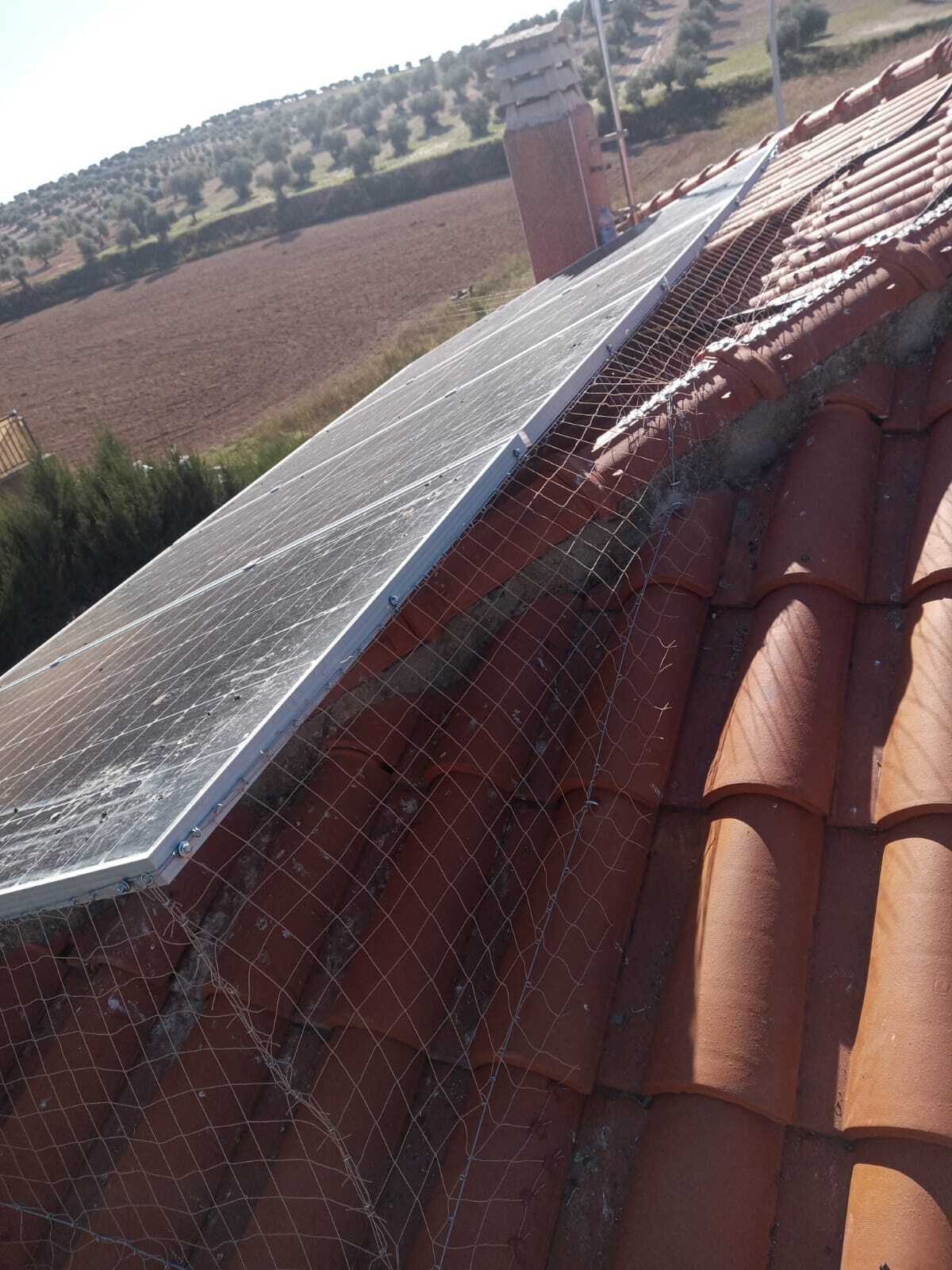 Protecci n De Paneles Solares Para Evitar Que Aniden Los P jaros Protecci n De Paneles Solares Para Evitar Que Aniden Los P jaros