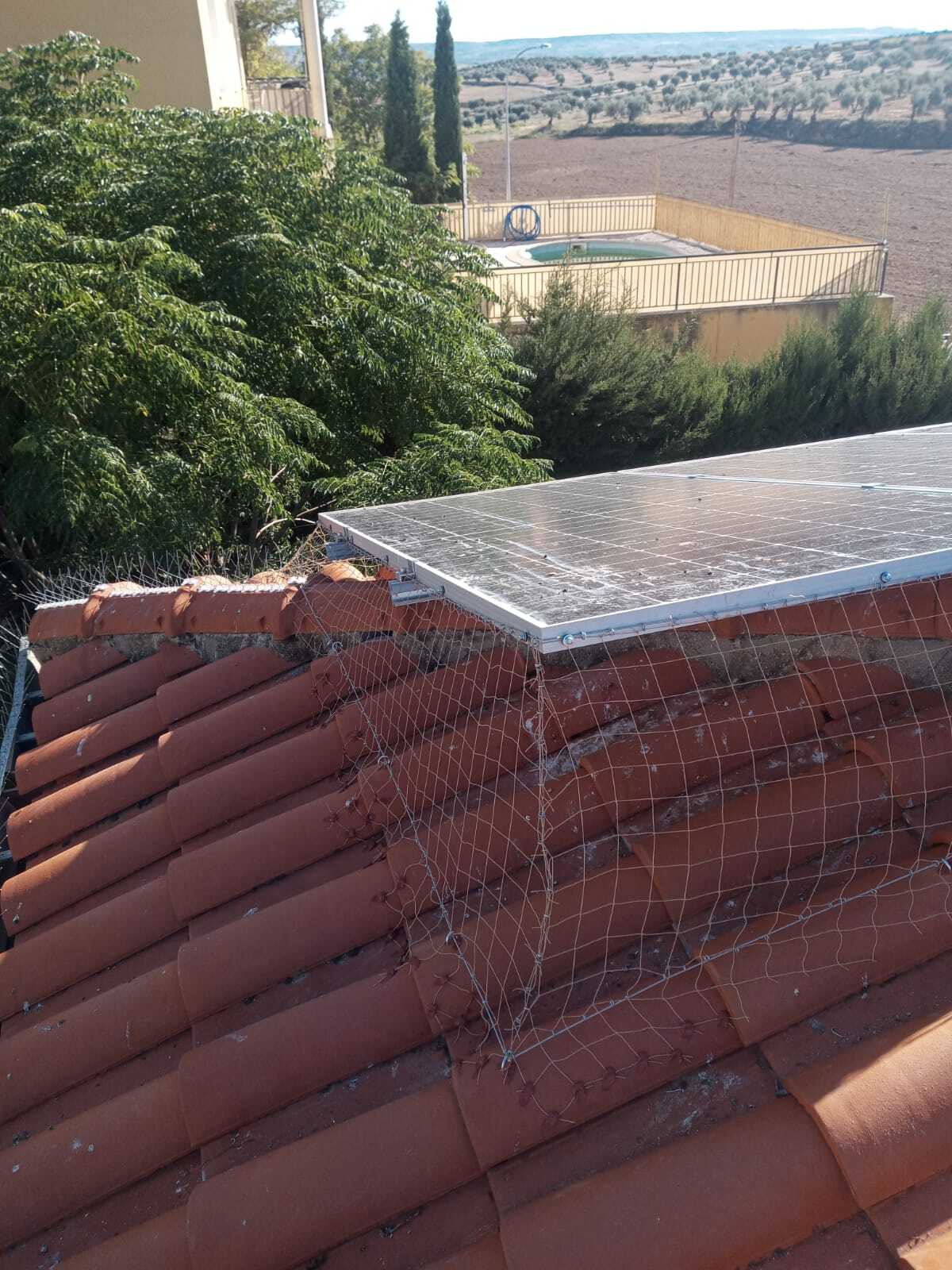 Protecci n De Paneles Solares Para Evitar Que Aniden Los P jaros Protecci n De Paneles Solares Para Evitar Que Aniden Los P jaros