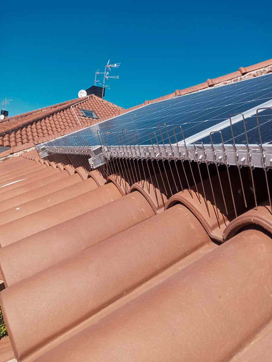 Protecci n De Paneles Solares Con Varillas Anti P jaros Protecci n De Paneles Solares Con Varillas Anti P jaros